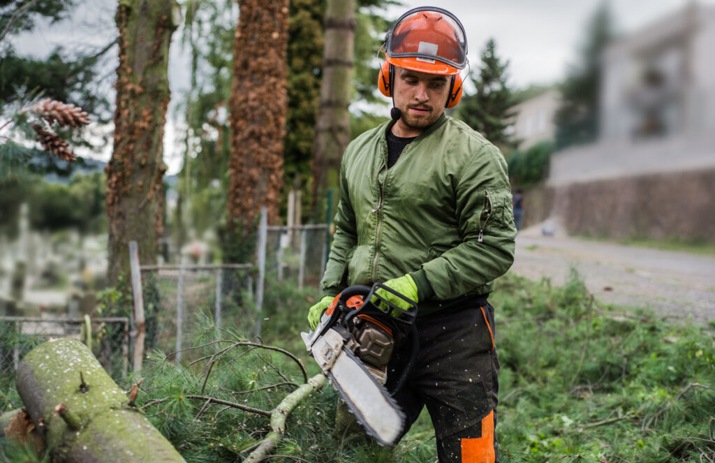Canberra Tree Service | Tree Removal |Tree Pruning | Tree Trimming | Best Arborist In Canberra ...